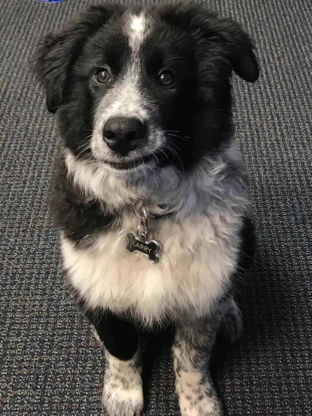 Larry Duff: Duff Law Firm, P.L.C.