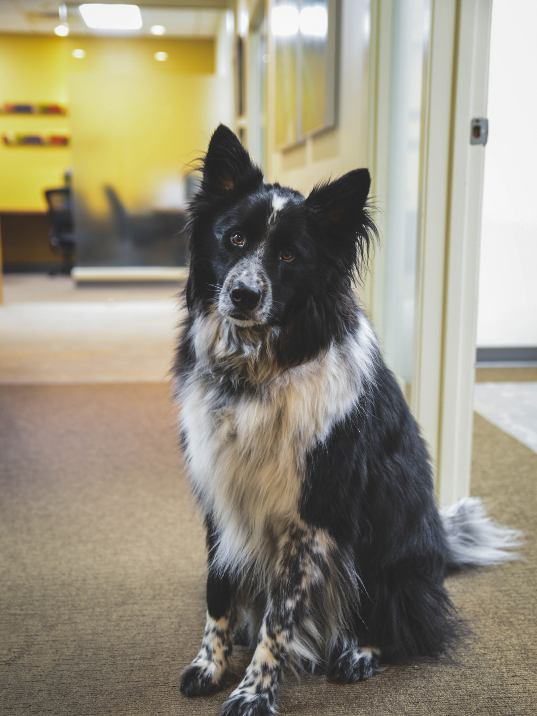 Larry Duff: Duff Law Firm, P.L.C.